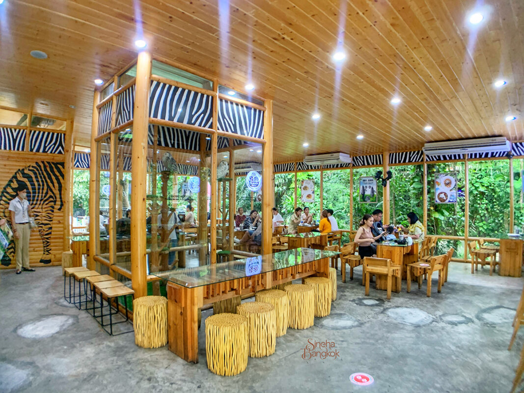 คาเฟ่ลับในซาฟารีเวิลด์ (Safari World) ‘Animal Café’ (แอนนิมอล คาเฟ่ ...